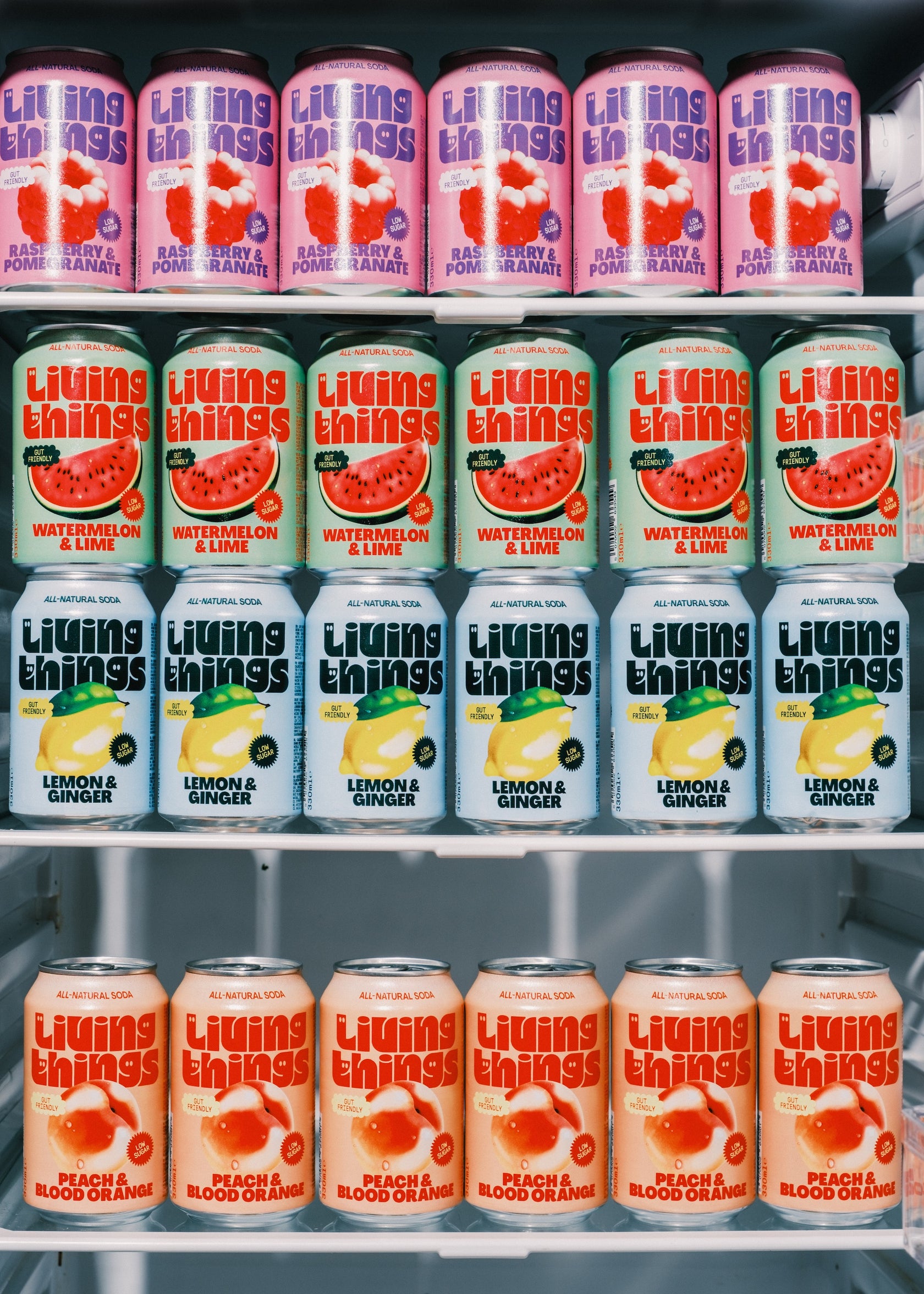 Living Things Prebiotic Soda Mixed Case